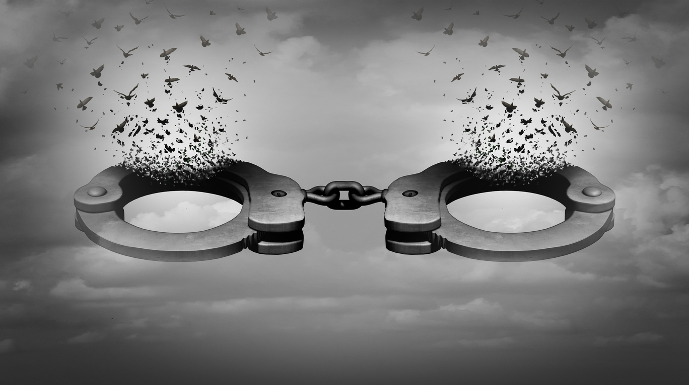 It is Time for a “Second Look” at Legislative Efforts to Combat Mass ...